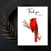 Cardinal Thank You Card Homemade Note Card Greeting Card Homemade ...