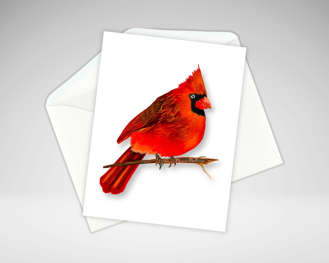 Cardinal Note Card, Personalization Optional, All Occasion Cardinal Set ...
