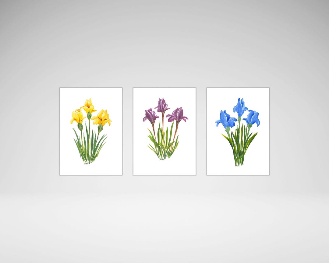 Iris Flower PRINT Set of 3, Simple Floral Wall Art Print Set, Acrylic ...