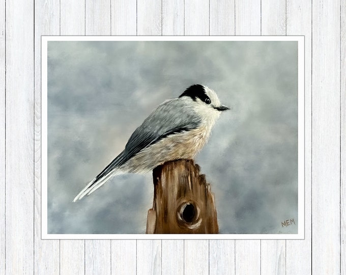 Gray Jay Art Print Canada Jay Whisky Jack Grey Jay Ornithology Art ...