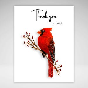 Cardinal Thank You Card | Homemade Note Card | Greeting Card | Homemade ...