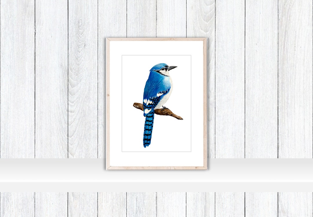 Blue Jay Bird PRINT Acrylic Painting Blue Jay Print Bird - Etsy