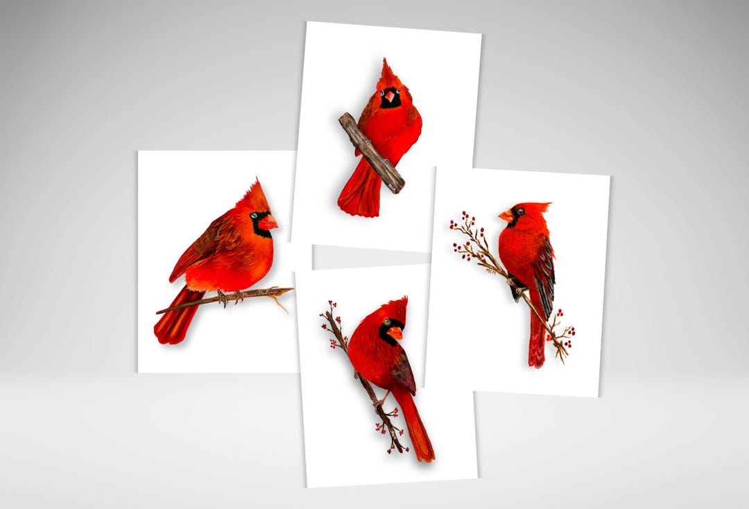 Cardinal Note Card Set, Personalization Optional, Red Cardinal Cards ...