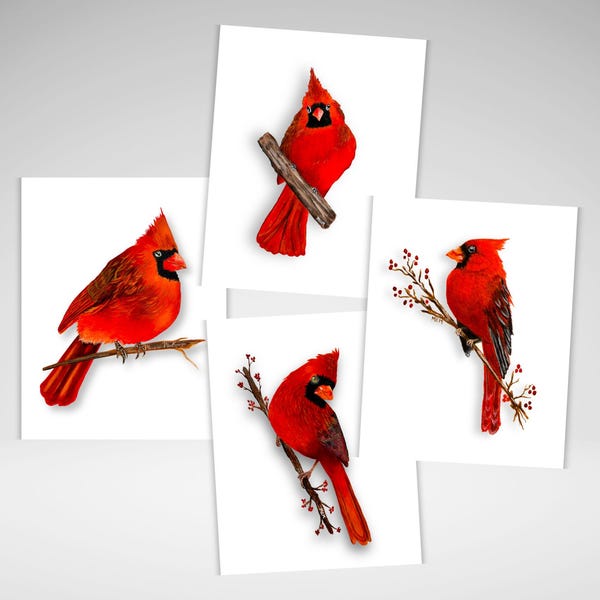 Cardinal Card - Etsy