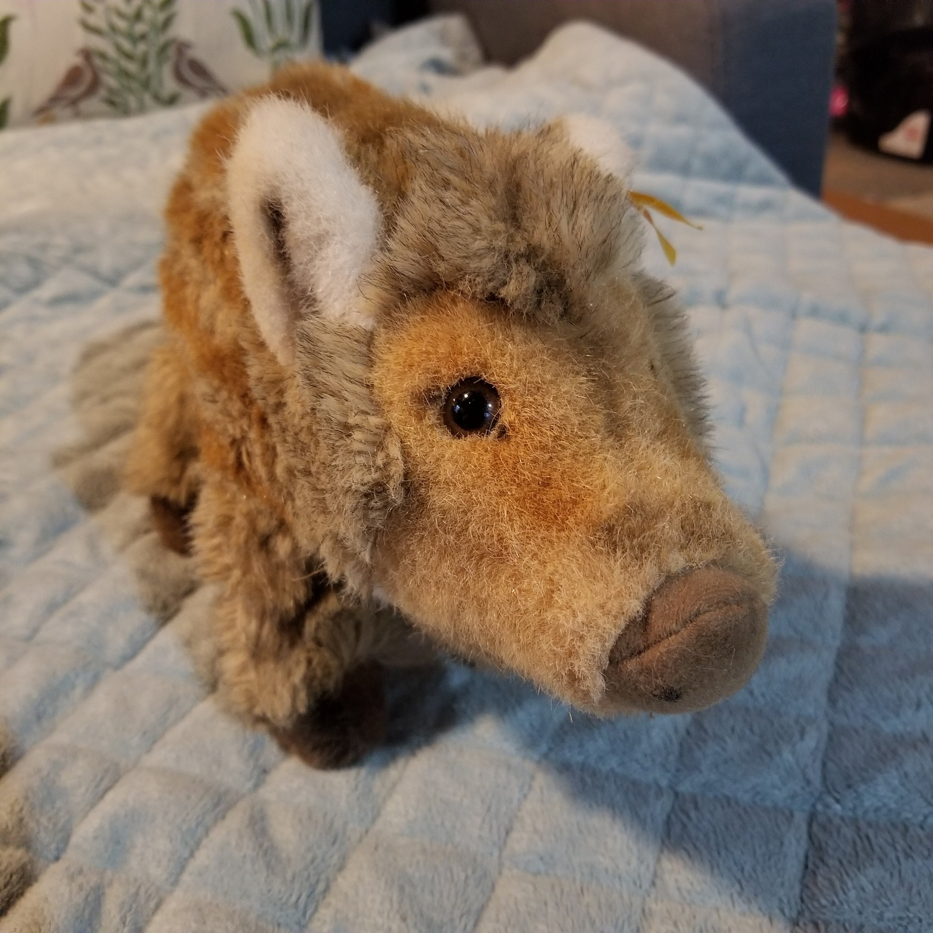 Steiff Wild Boar Tag # 072192 11 Inches Long 6 Inches Tall - Etsy