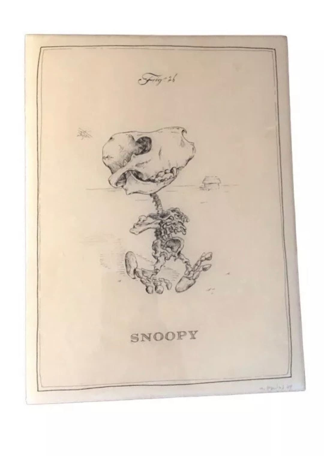 Signed Snoopy Anatomical Skeleton Art Wood Panel by Michael Paulus ...