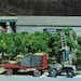 N Scale Orchard Supplies - Etsy