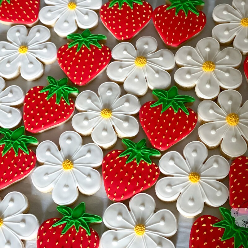 Spring Sugar Cookies - Etsy