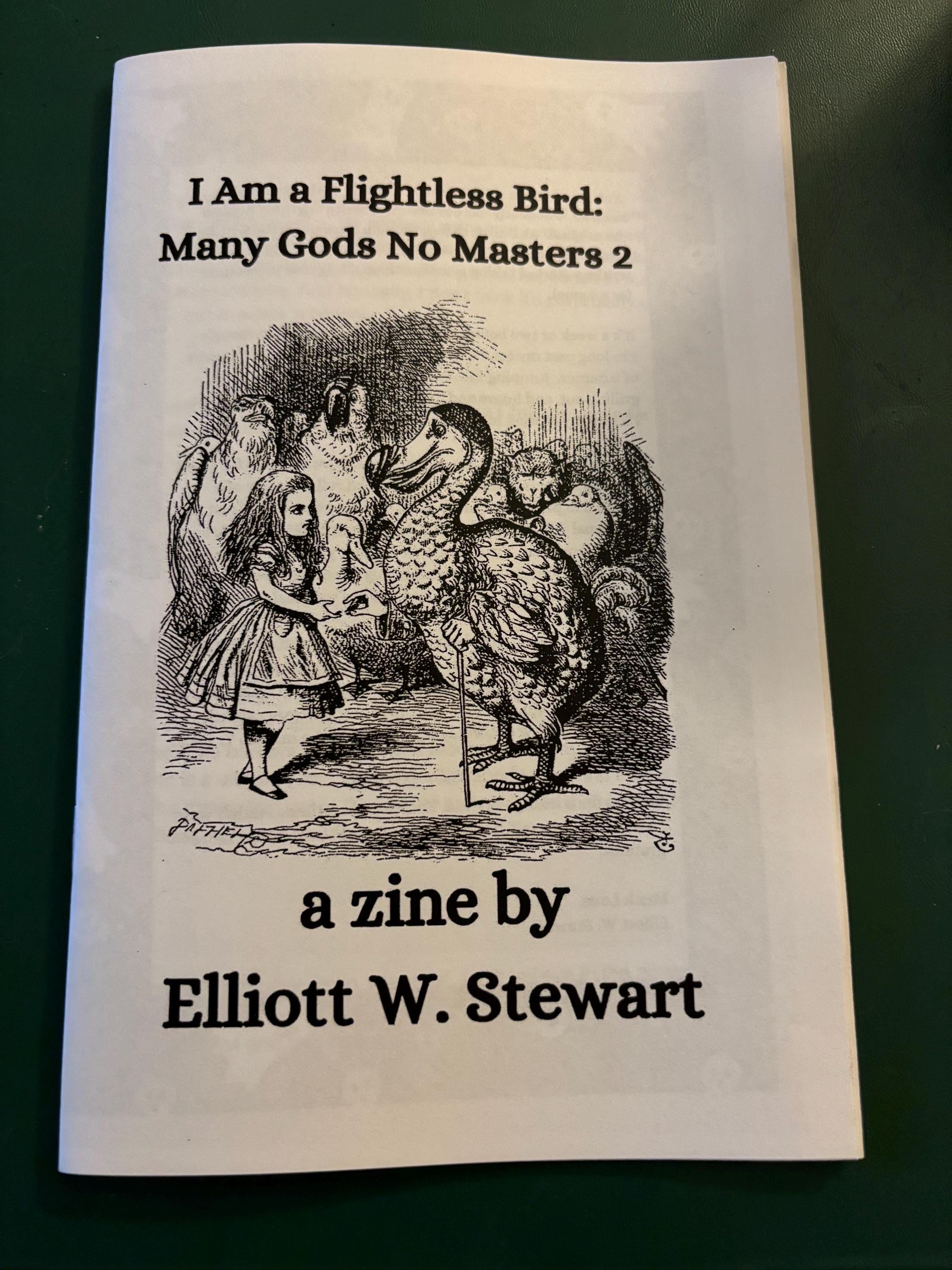 I Am a Flightless Bird: Many Gods, No Master 2 Zine - Etsy