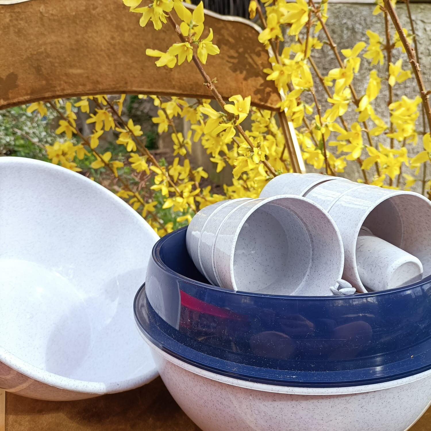 Curver Picnic Set - Etsy