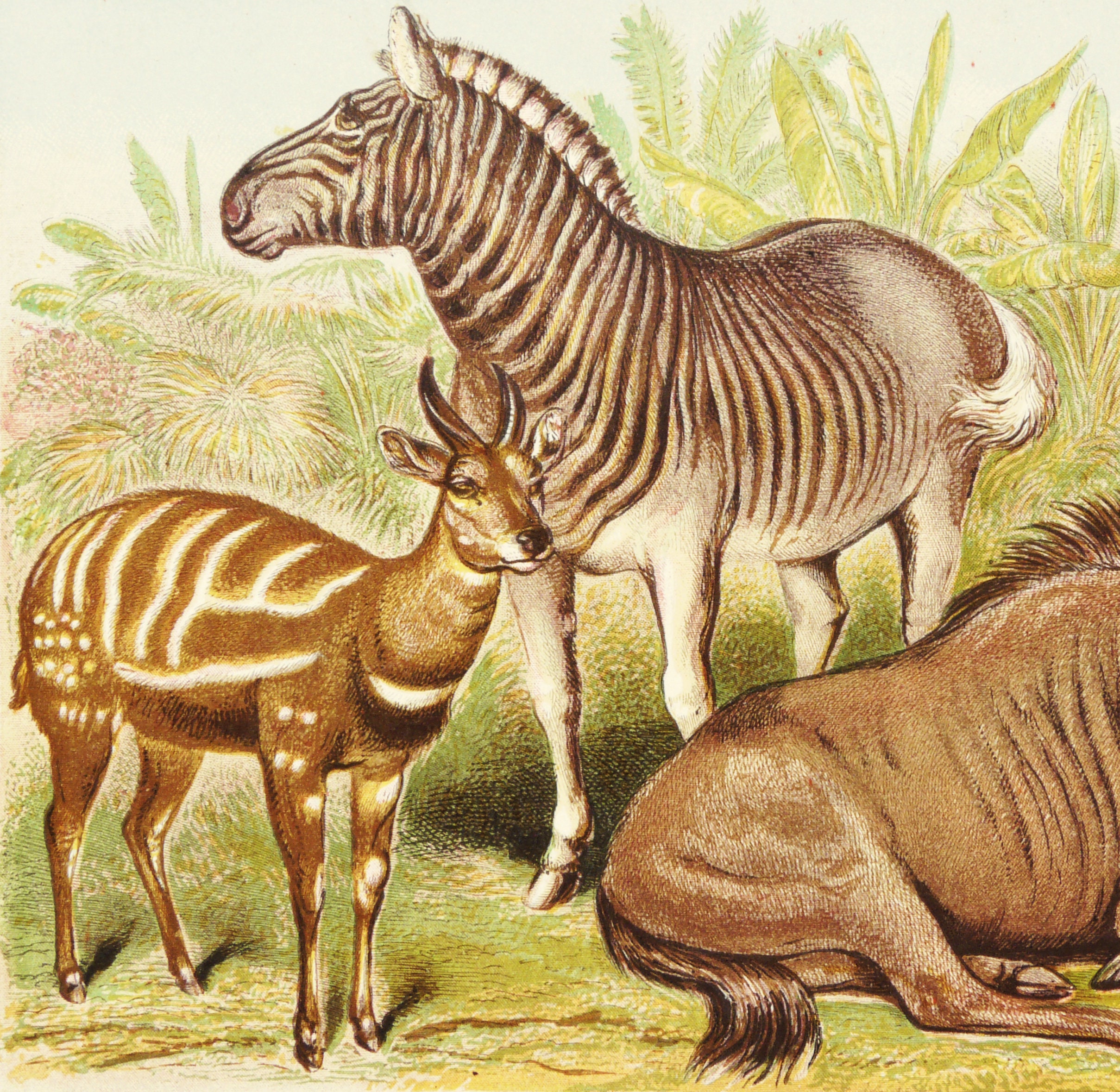 Prehistoric Zebra