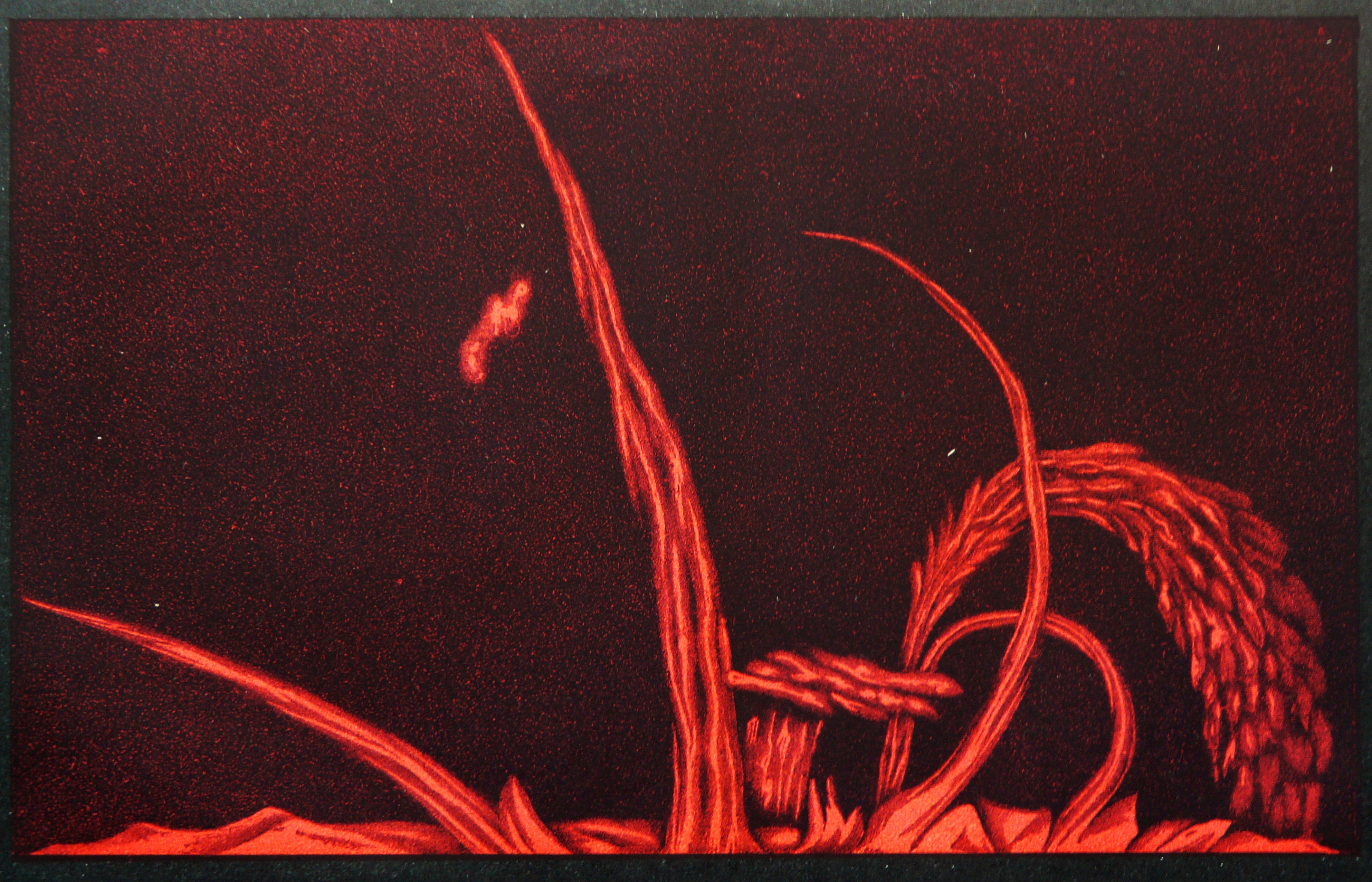 Art & Collectibles Solar Eclipse Total Eclipse Solar Flares 124 years ...