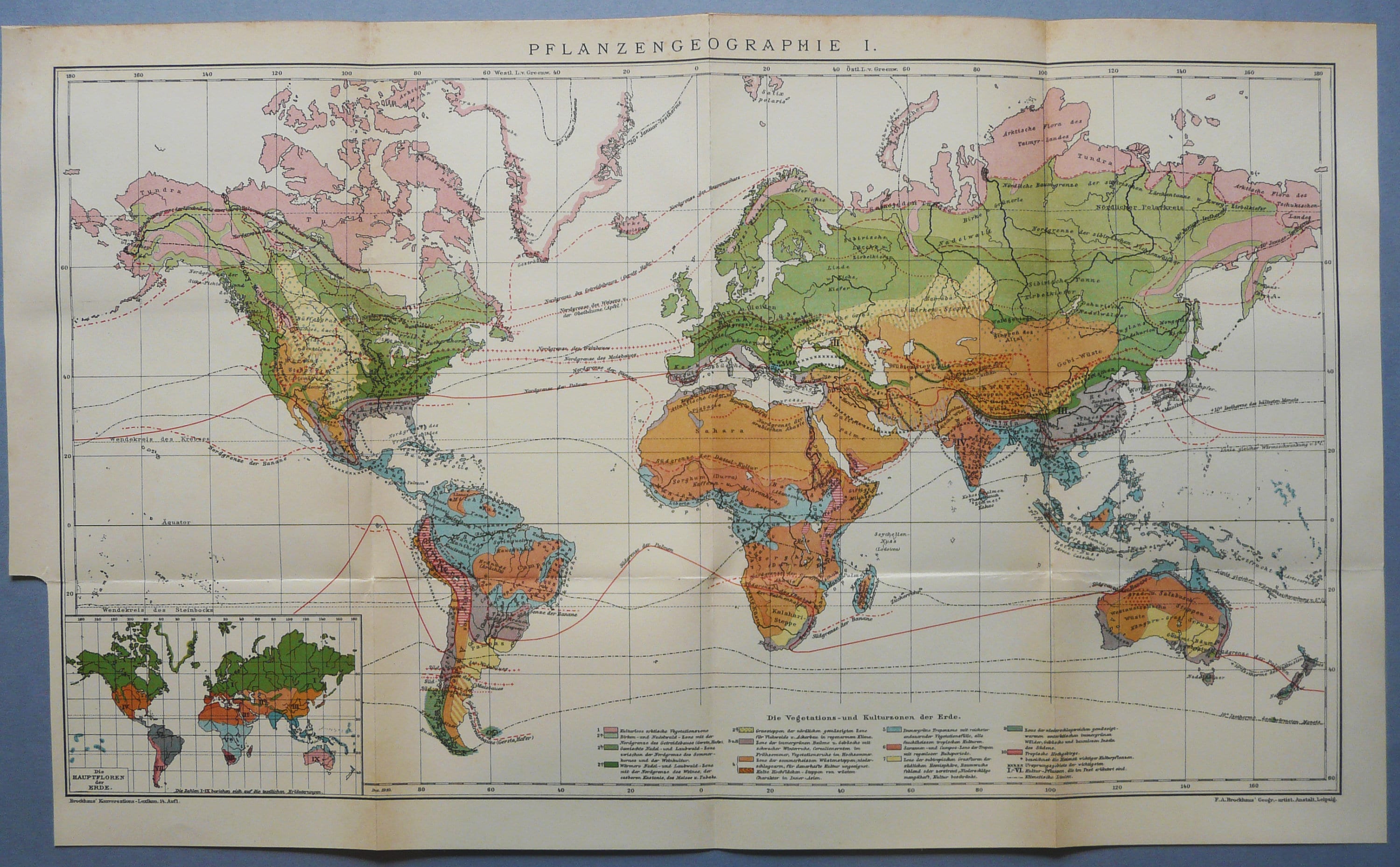 1895 Antique Large WORLD MAP of VEGETATION and Plants. Botany. Climate ...