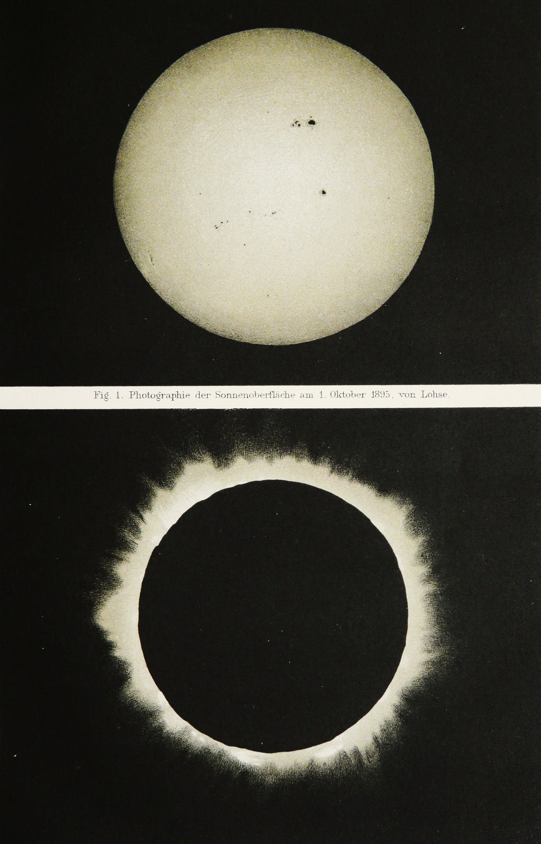 1897 Antique Celestial Lithograph of THE SUN. Solar Flares. Solar Eclipse. Total Eclipse ...