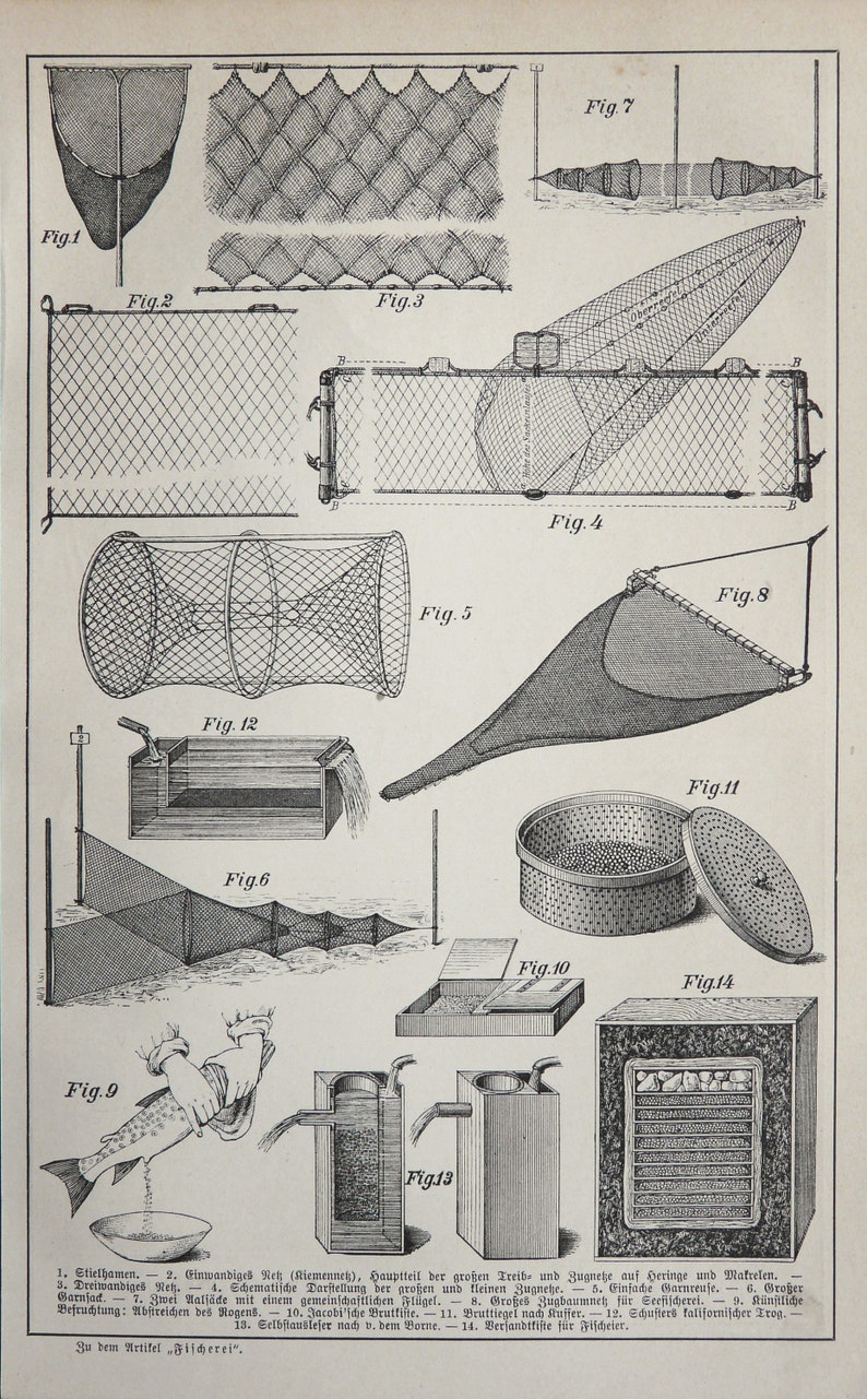 1889 Antique Rare Print of FISHING. FISHING NETS, Different Types. Fish ...
