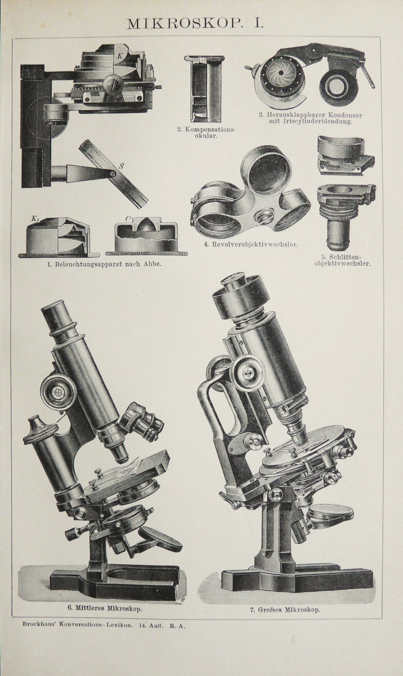 1895 Antique Print of MICROSCOPES. OPTICS. Optical Instruments. Viewing ...