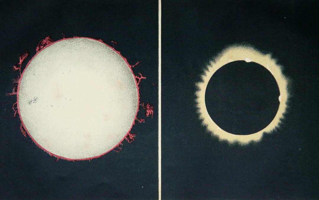 1895 Antique Celestial Lithograph of THE SUN. Solar Flares. Solar ...