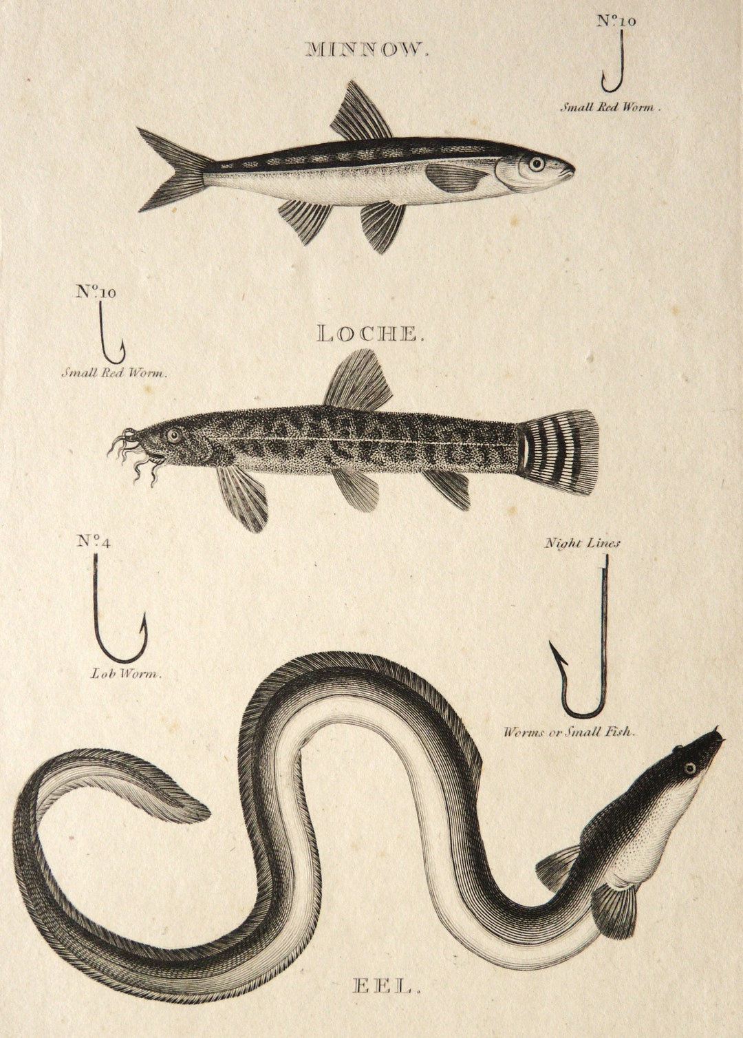 1808 Antique Copper Engraving of FISHING. FISHES and HOOKS. Freshwater ...