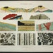 1897 Antique Lithograph of GEOLOGY. MINERALS. ROCKS. 126 Years - Etsy