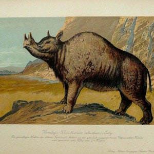 1900 Antique Lithograph of a MEGACEROPS. ANCIENT RHINOCEROS. Dinosaur ...