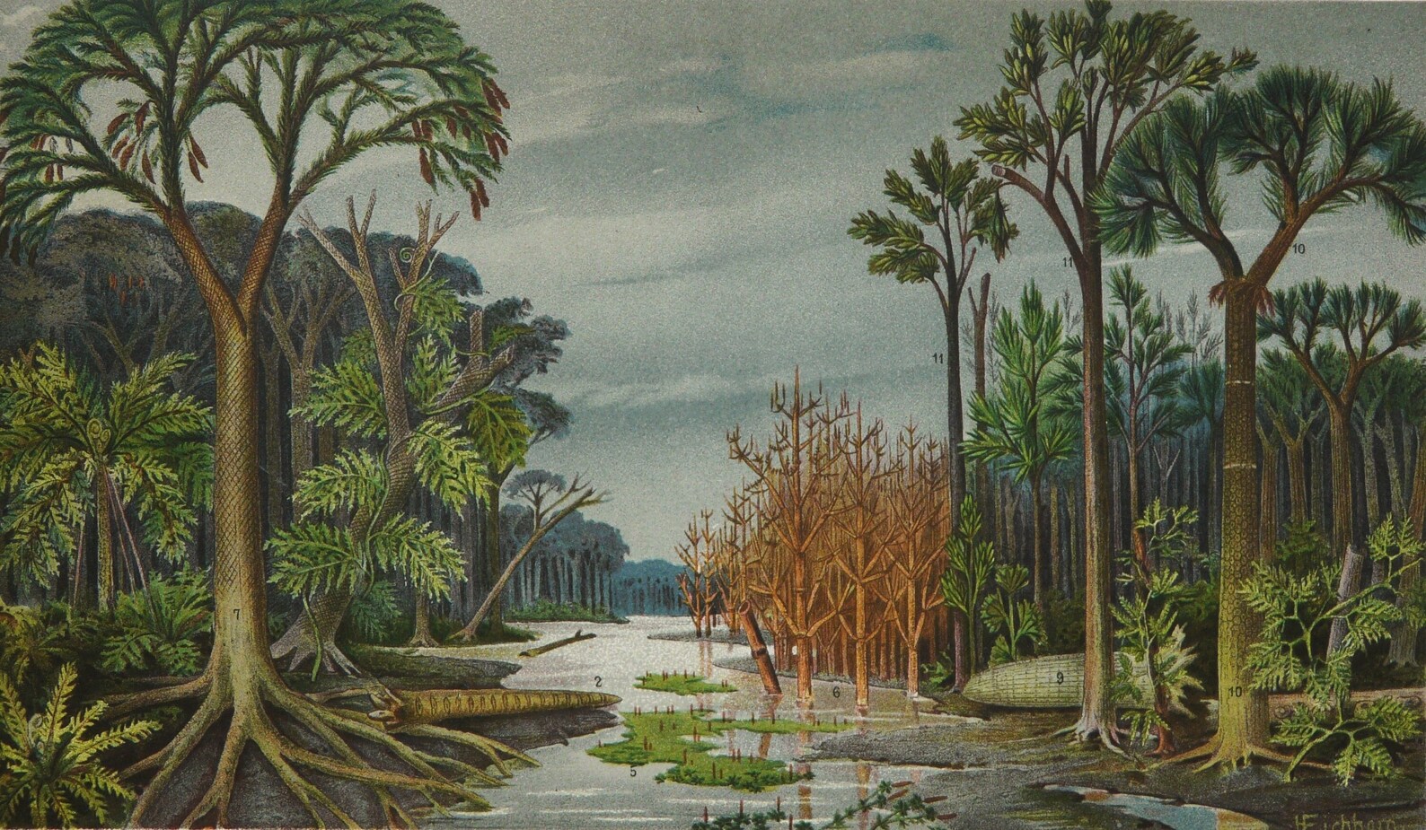 1897 Antique Lithograph of PALEOBOTANY. Giant Ferns. Jurassic Era ...