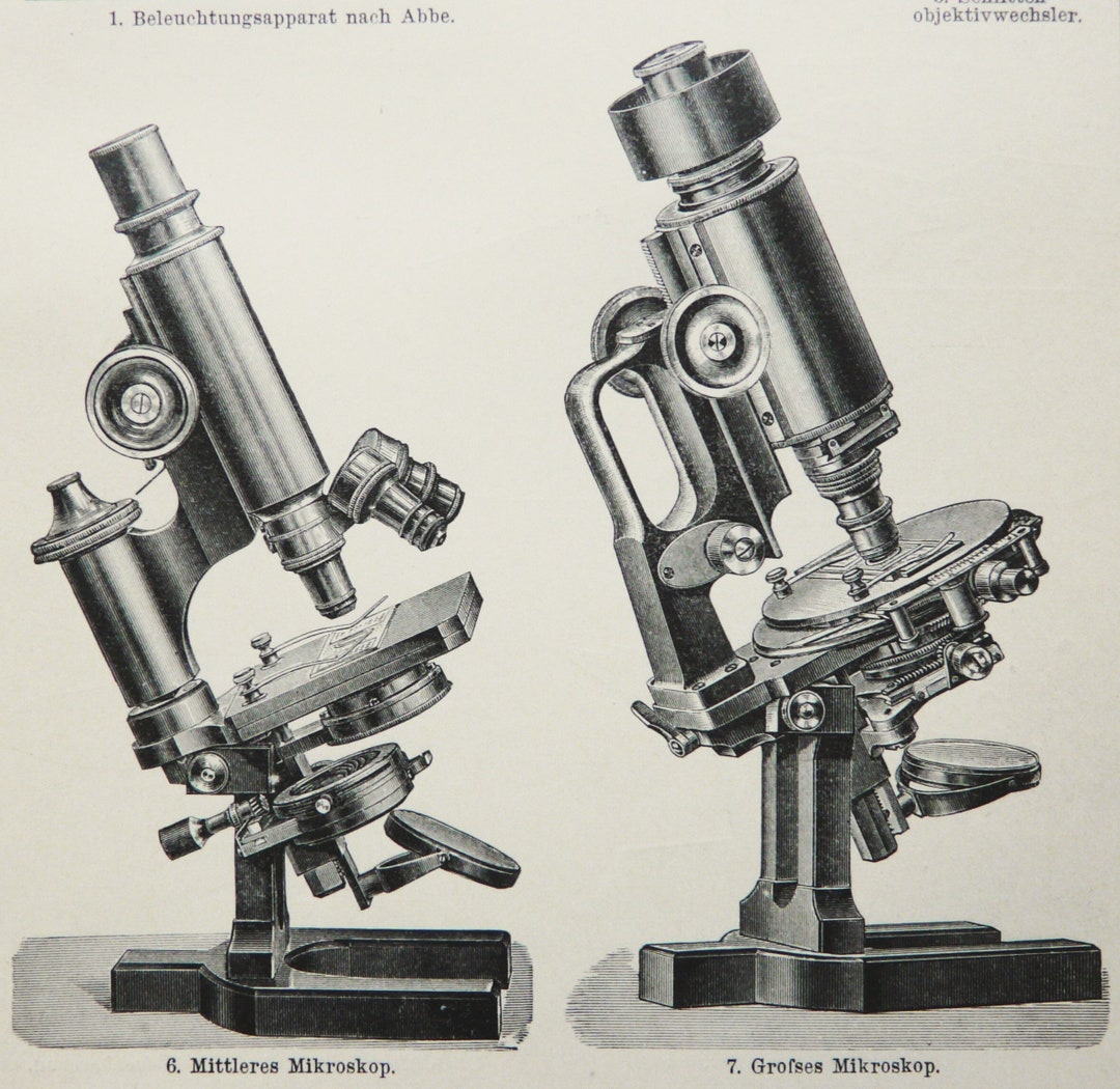 1895 Antique Print of MICROSCOPES. OPTICS. Optical Instruments. Viewing ...