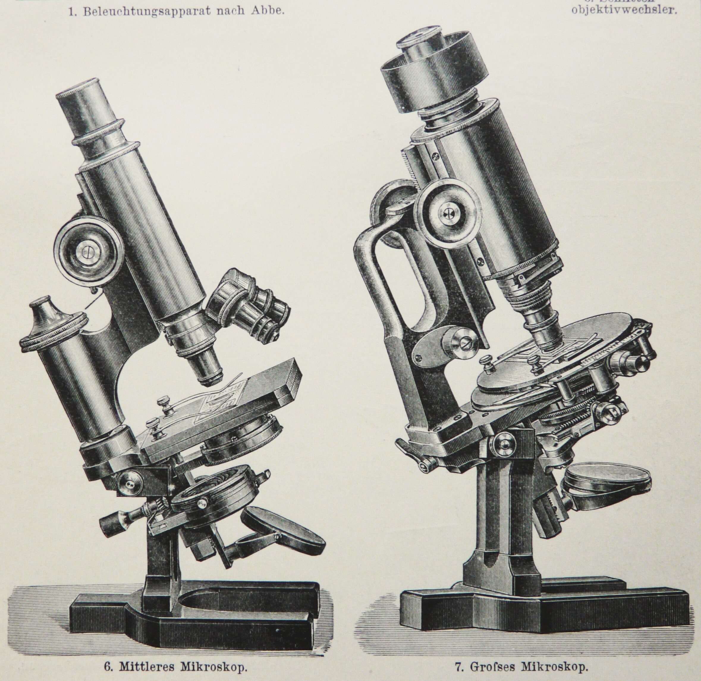 1895 Antique Print of MICROSCOPES. OPTICS. Optical Instruments. Viewing ...