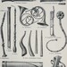 1897 Antique Print of ANCIENT MUSICAL INSTRUMENTS, Different Types ...
