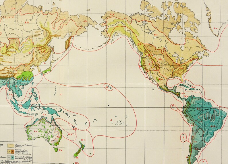 1897 Antique WORLD MAP of VEGETATION and Plants. Botany. - Etsy