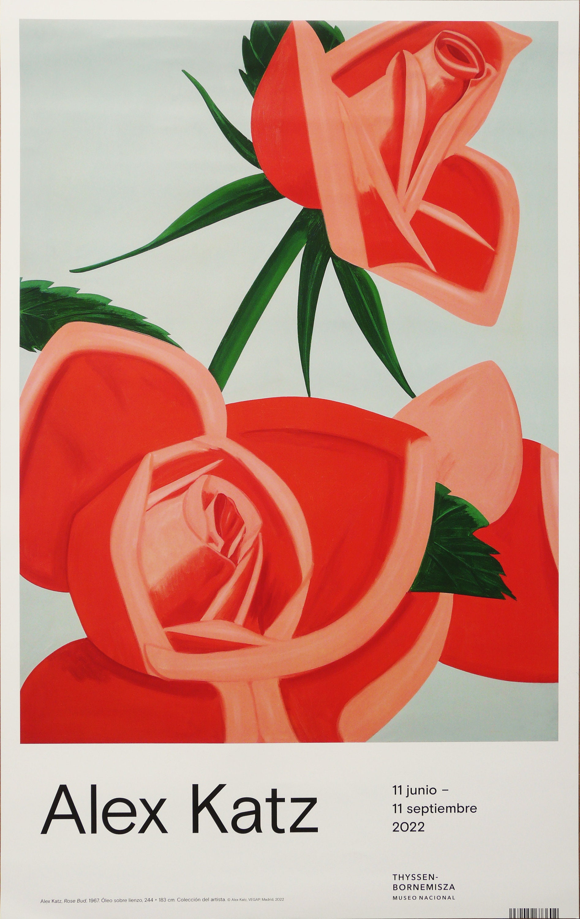 ALEX KATZ: rose Bud. Original Exhibition Poster - Etsy