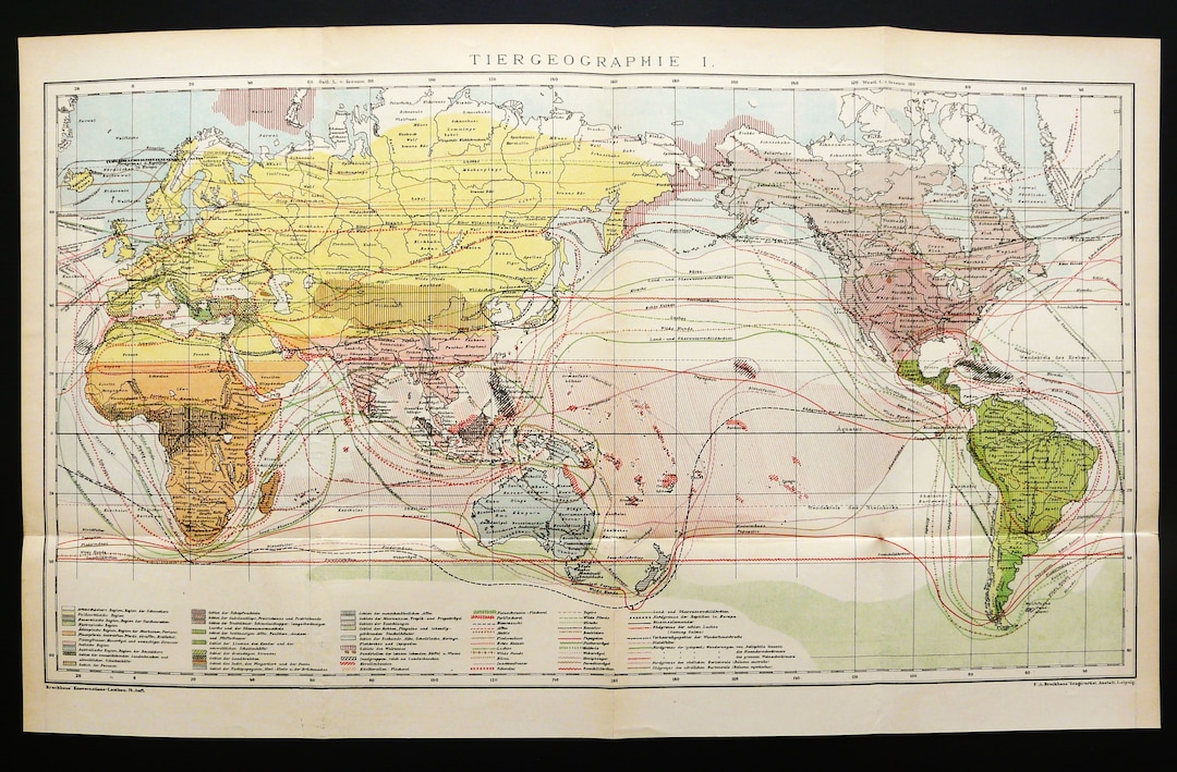 1895 Antique Large WORLD MAP of ZOOLOGY. Animal Geography. Zoological ...