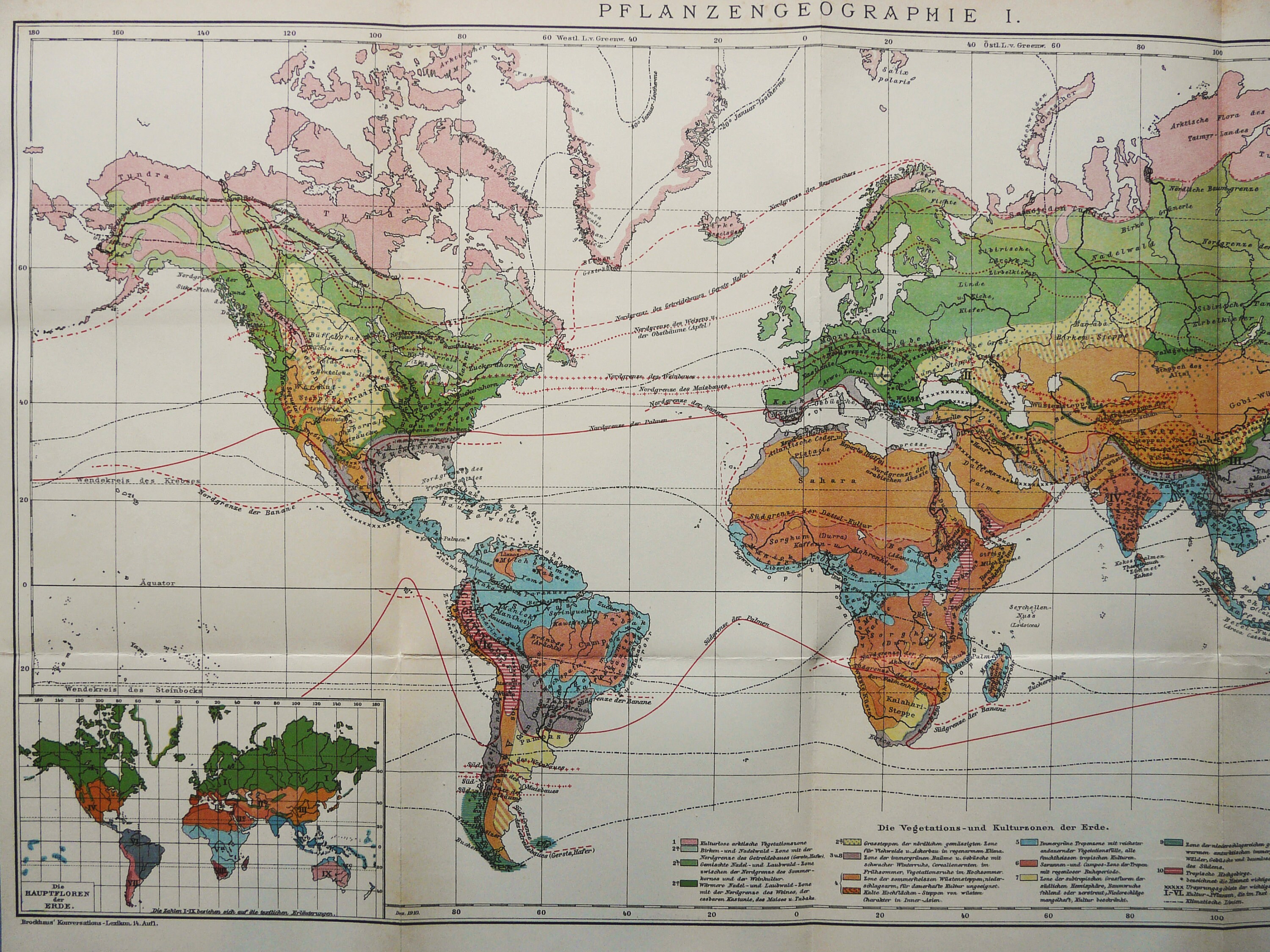 1895 Antique Large WORLD MAP of VEGETATION and Plants. Botany. Climate ...