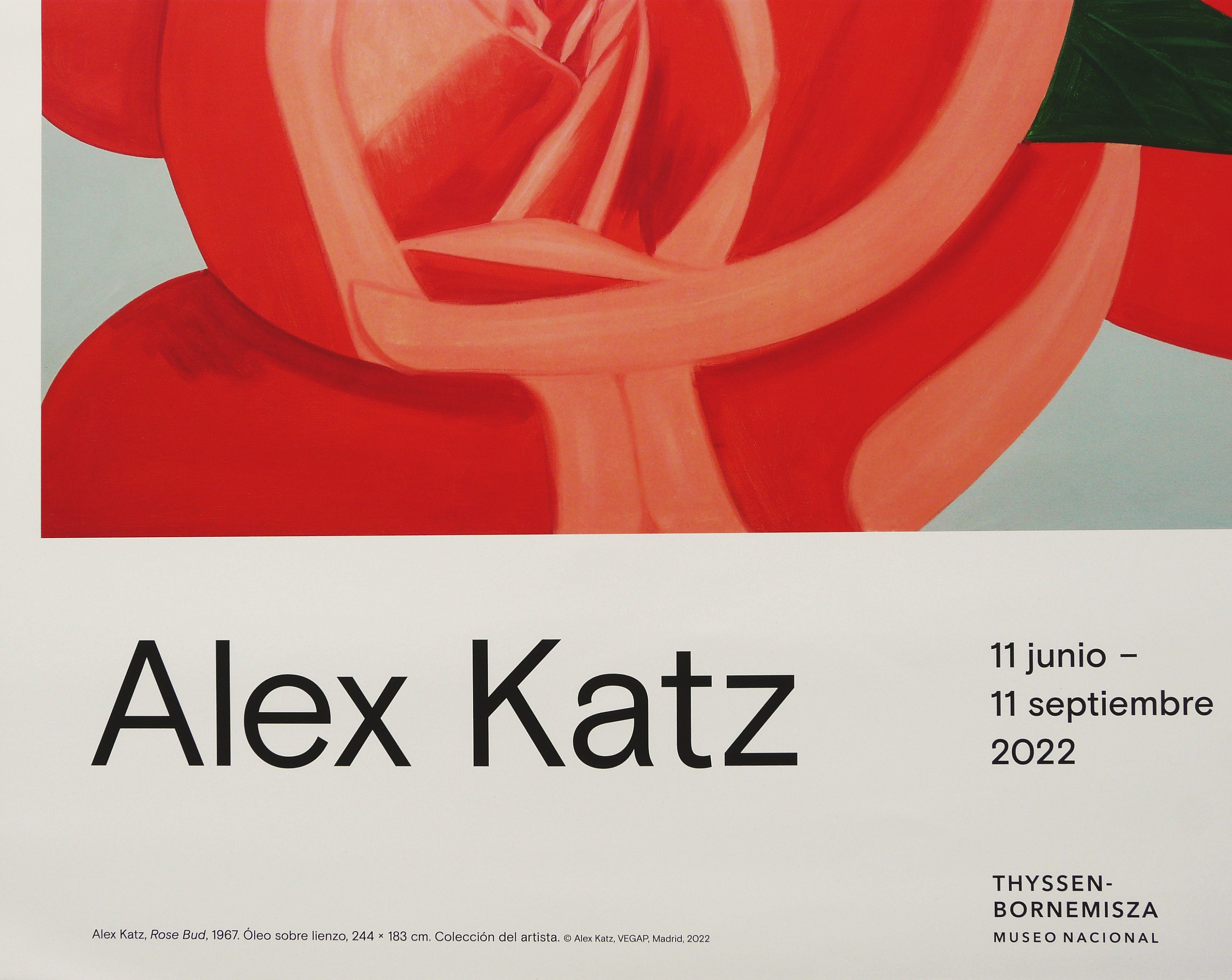 ALEX KATZ: rose Bud. Original Exhibition Poster - Etsy