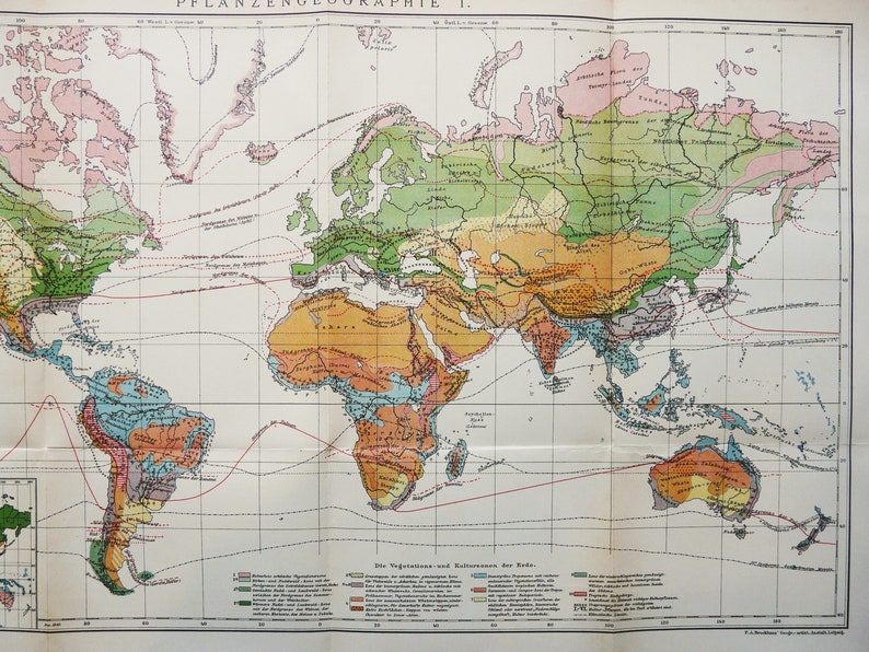 1895 Antique Large WORLD MAP of VEGETATION and Plants. Botany. Climate ...
