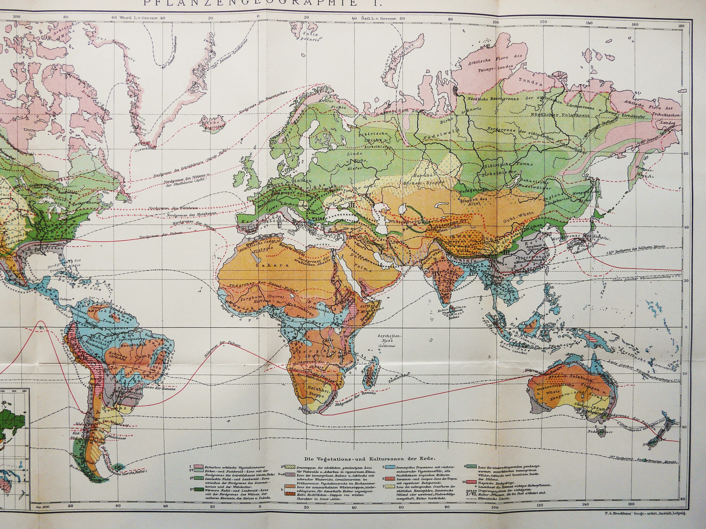1895 Antique Large WORLD MAP of VEGETATION and Plants. Botany. Climate ...