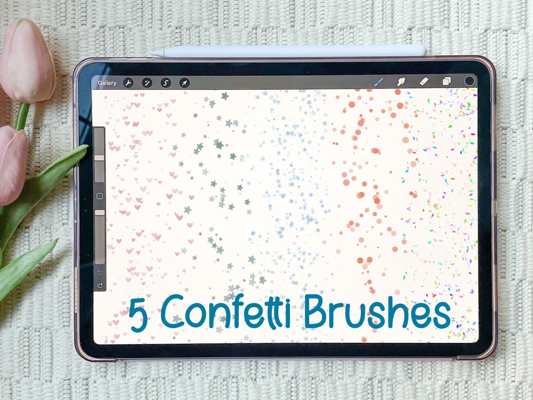 Procreate Confetti Brushes | Heart Confetti Brush | Snowflakes Brush - Etsy