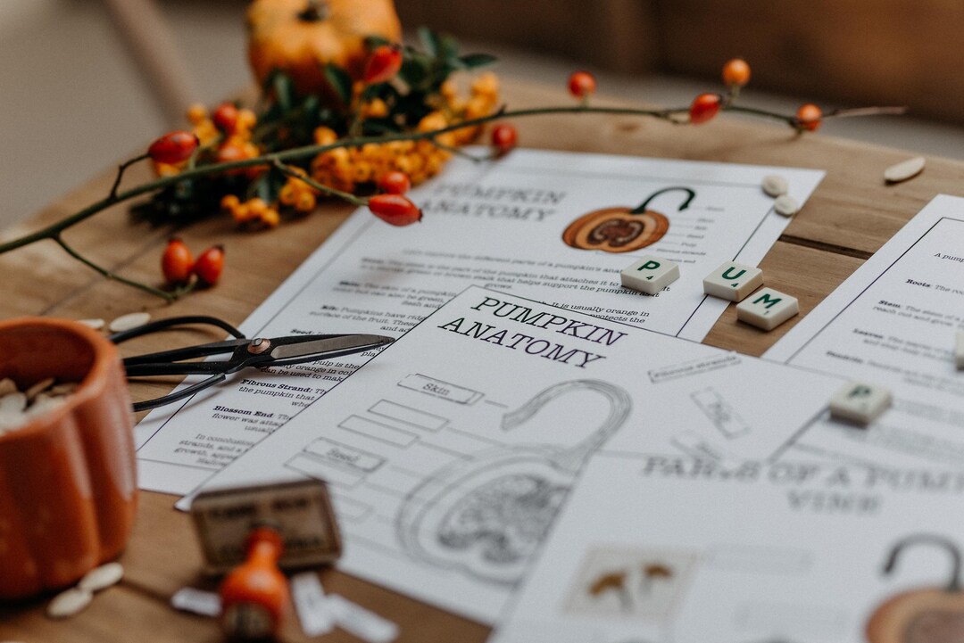 Pumpkin & Squash Unit Study, Pumpkin Montessori Unit, Flashcards ...