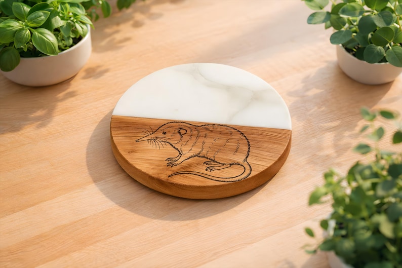Water Shrew Coaster, Water Shrew Animal Drink Coaster, River Shrew ...