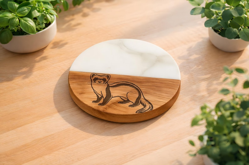 Saharan Striped Polecat Coaster, Desert Wildlife Animal Coaster ...