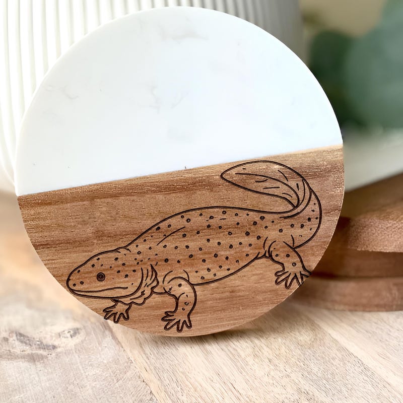 Large Salamander Art - Etsy