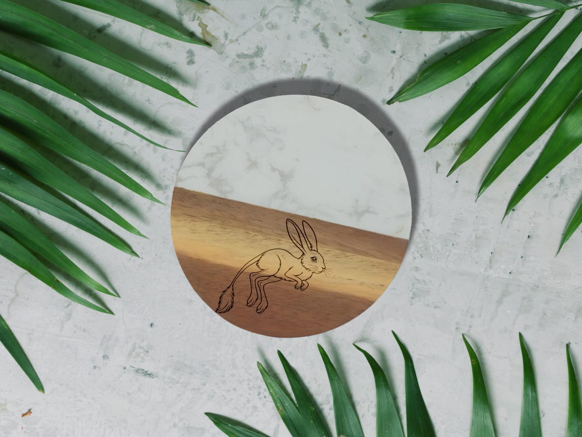 Springhare Coaster, Mythical Rabbit Creature Coaster, Folklore Hare ...