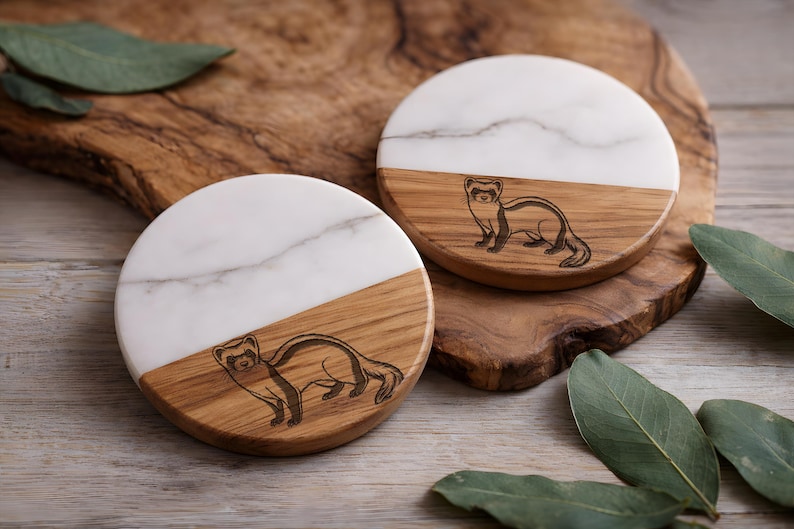 Saharan Striped Polecat Coaster, Desert Wildlife Animal Coaster ...