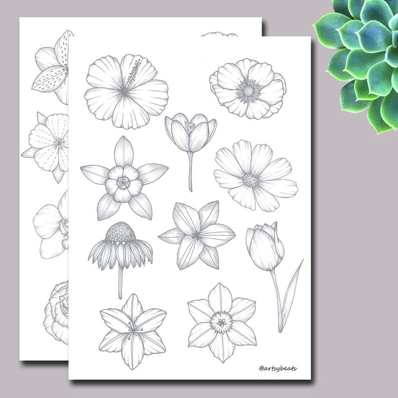 Learn to Draw Flowers Tracing Guides Printable Worksheet - Etsy Canada