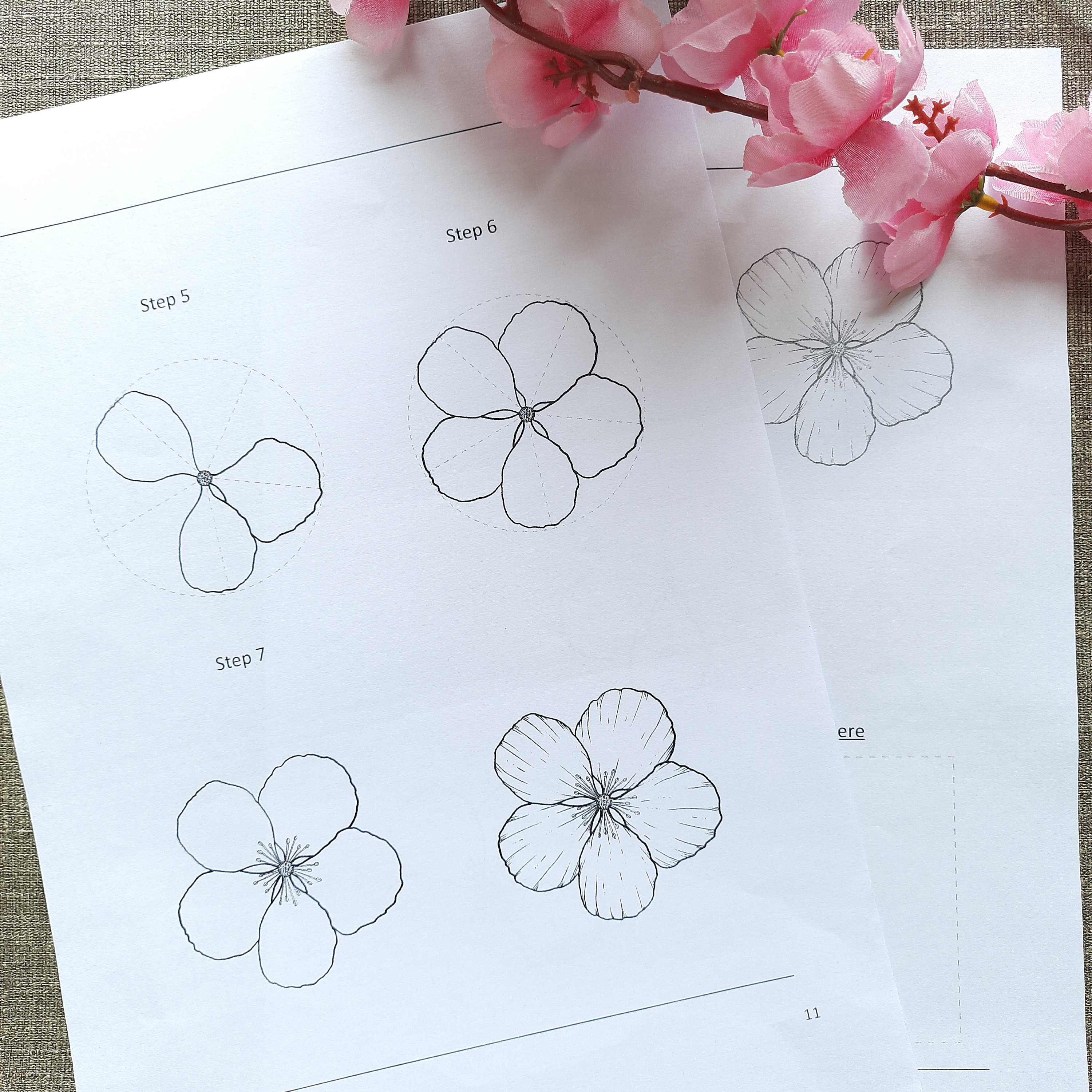 How to Draw the 38 Bach Flowers, Step-by-step Lessons, Drawing Guide ...