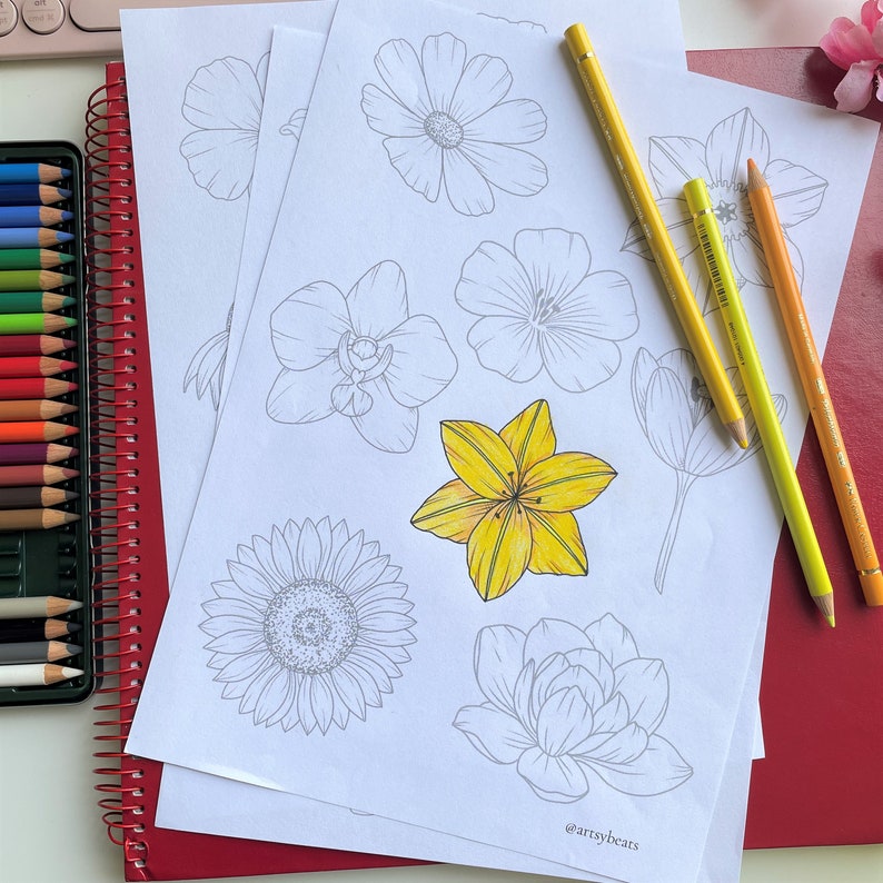 Learn to Draw Flowers Tracing Guides Coloring Pages - Etsy