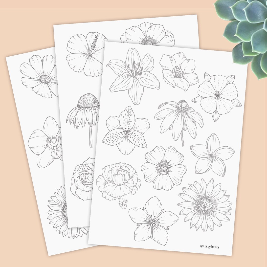 Learn to Draw Flowers, Tracing Guides, Coloring Pages, Printable ...