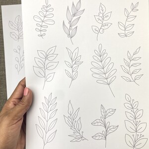 Learn to Draw Leaves for Beginners, Leaves Practice Sheets, Leaves ...