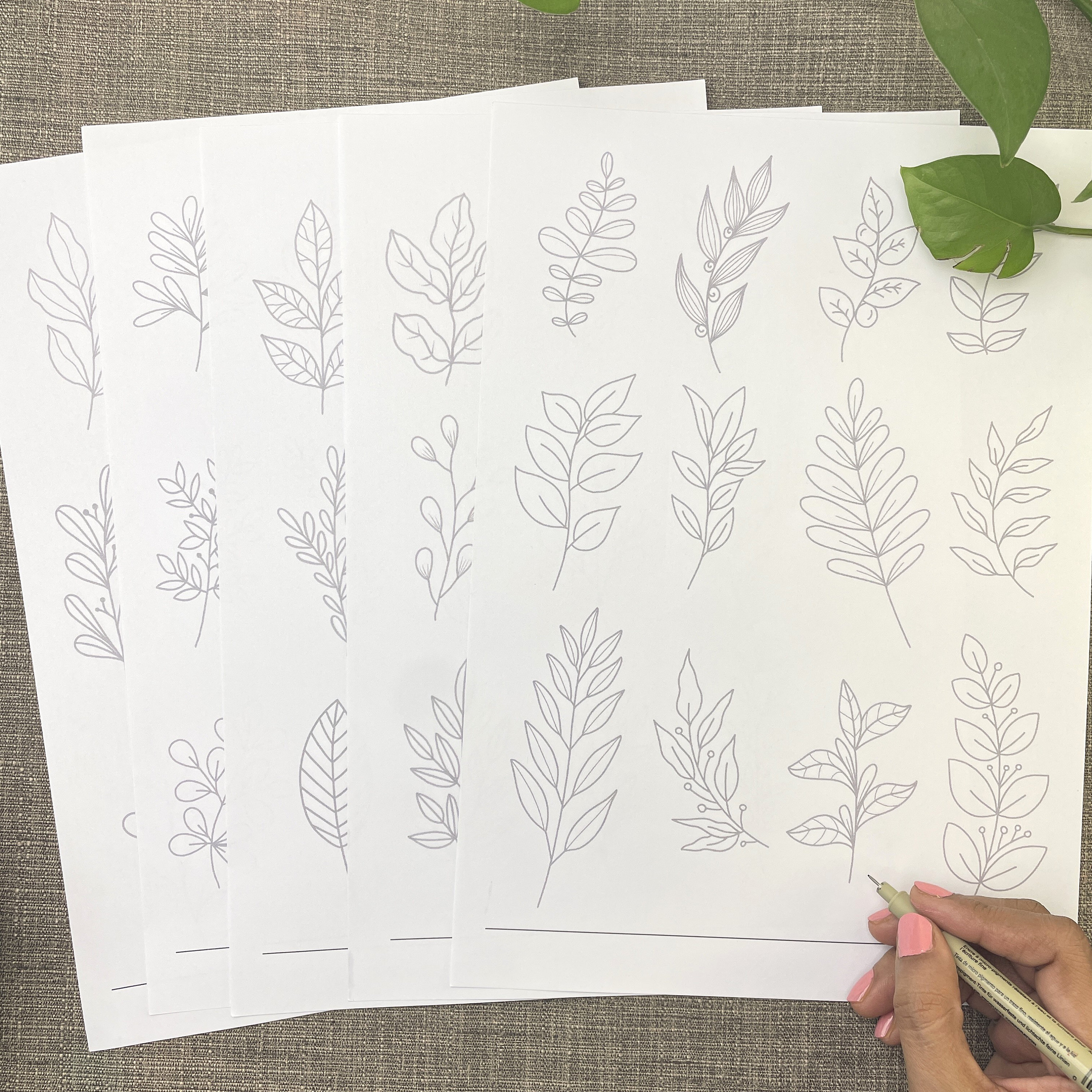 Learn to Draw Leaves for Beginners, Leaves Practice Sheets, Leaves ...