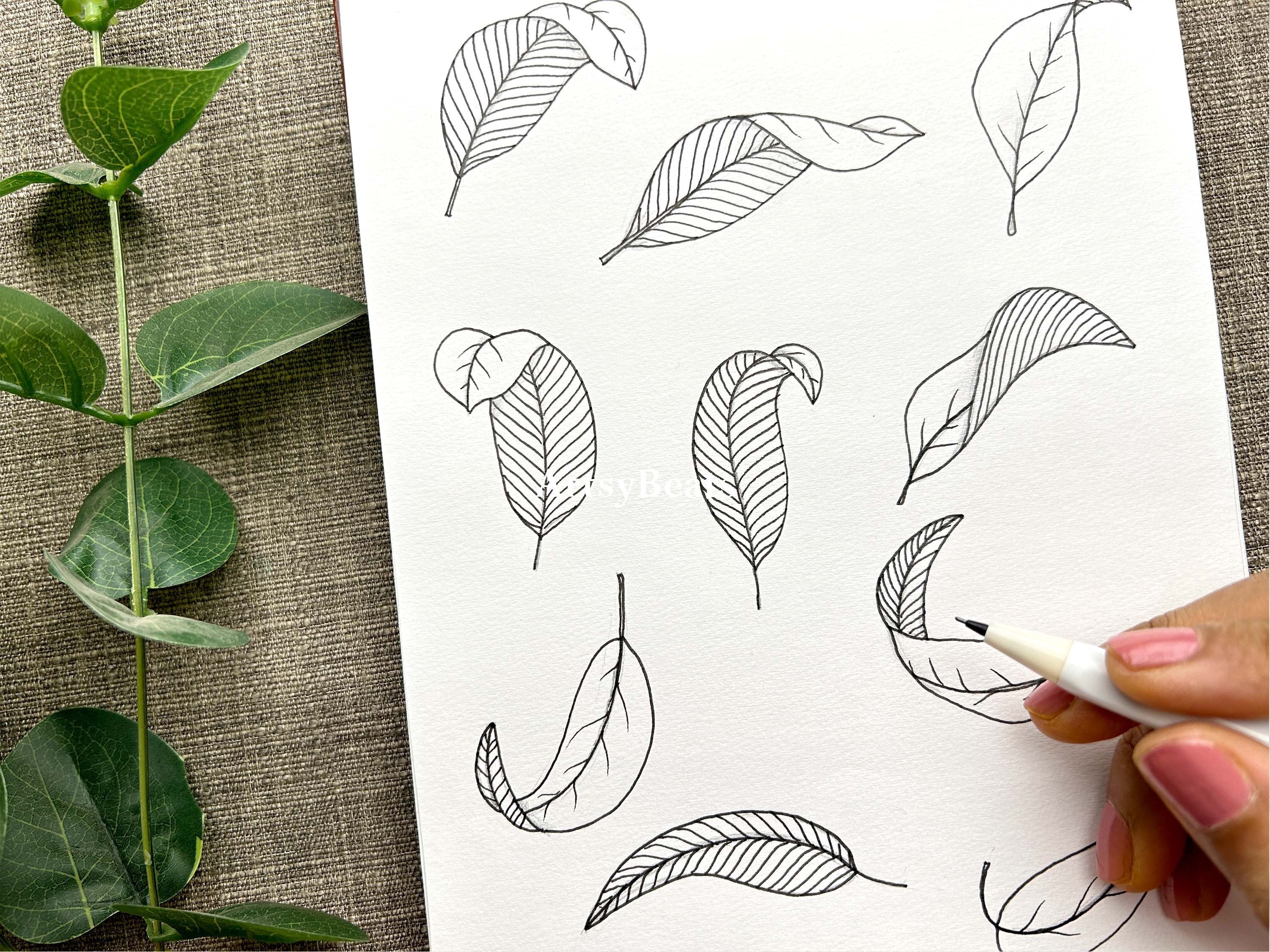Perspective Leaves Drawing for Beginners, How to Draw Curved Leaves ...