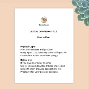 How to Draw Flowers for Beginner, Step by Step Flower Workbook ...